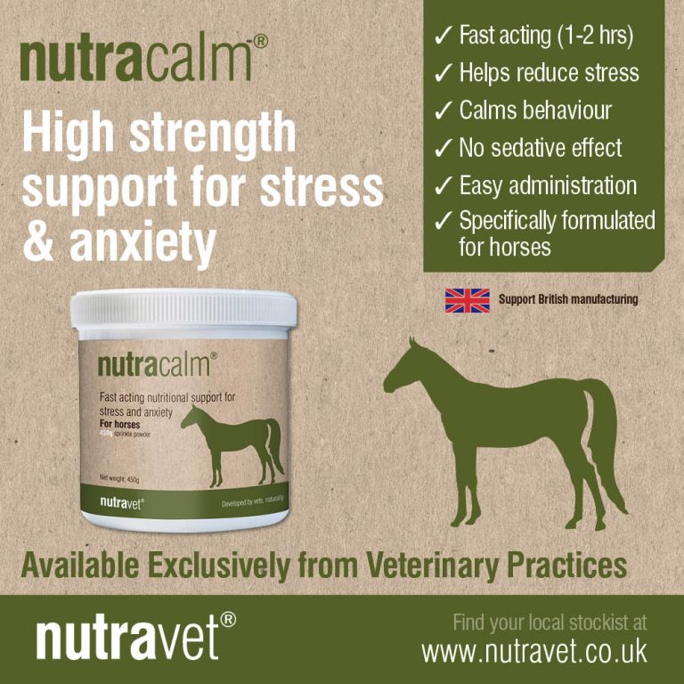 nutracalm-equine – Fishguard Vets